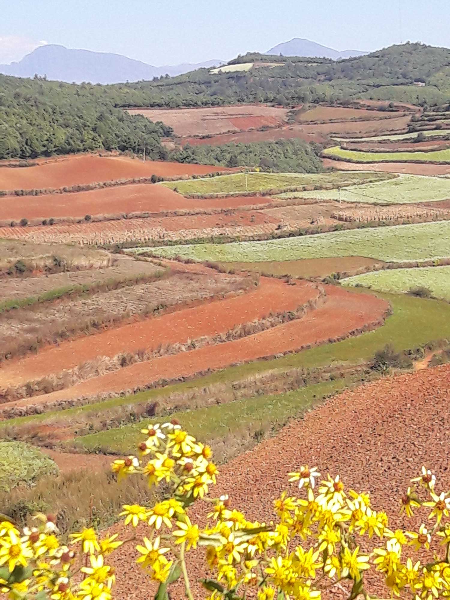 Avis de voyage : Isabelle - Paysages et Minorités du Yunnan (15 jours ...