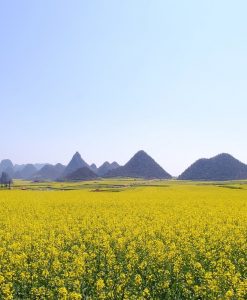 Terres rouges de Lexiaguo ou Dongchuan - Yunnan Chine